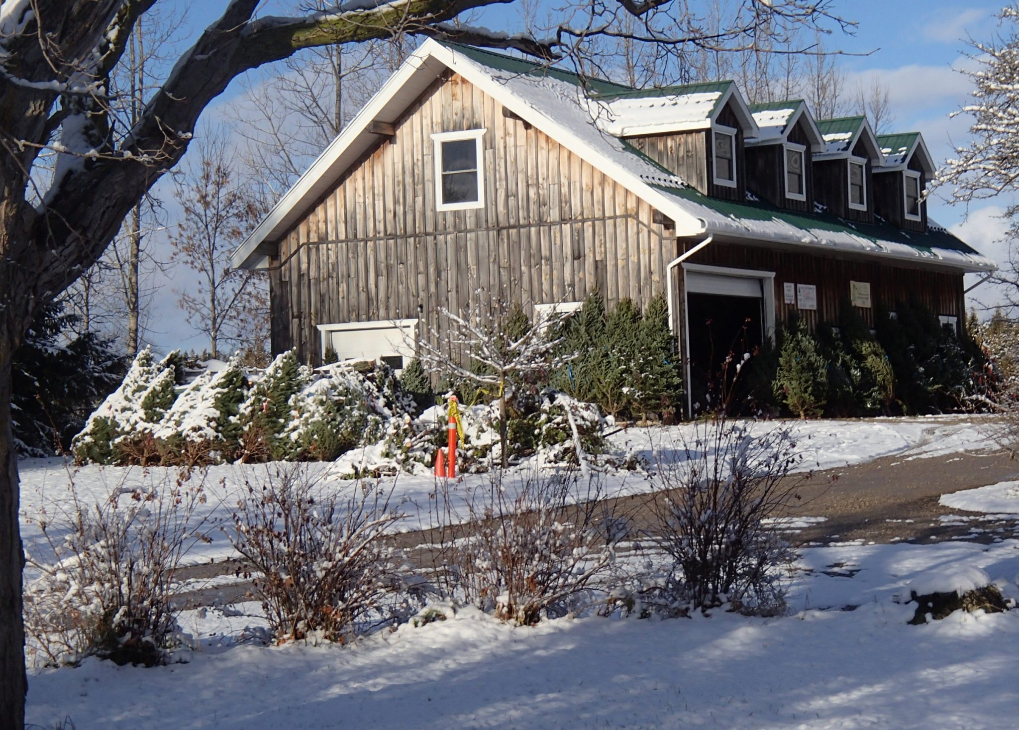 About – Madeira Farms